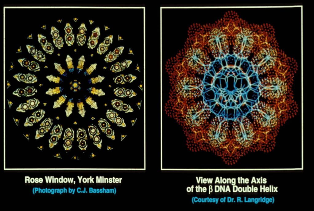 Simple Explanation of Intelligent Design Theory | Tough Questions Answered